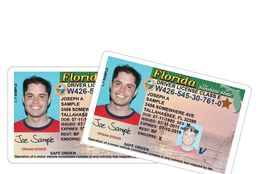 Replace Fl Drivers License Phiharle Peatix Replace Fl Drivers License Phiharle Peatix
